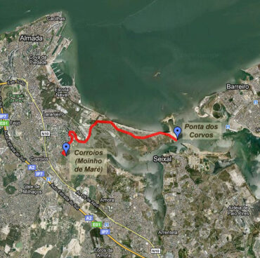 Corroios – Aves de Portugal