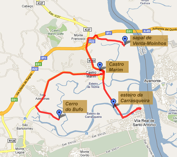 Sapal de Castro Marim – Aves de Portugal