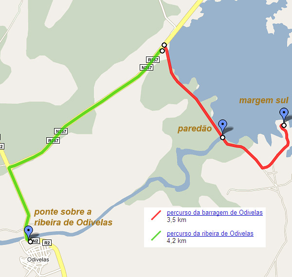 Albufeira de Odivelas – Aves de Portugal